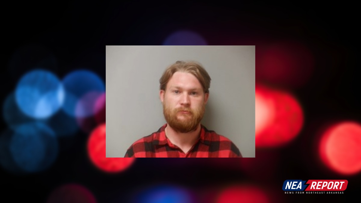 Story Images-17-mitchell - NEA Report