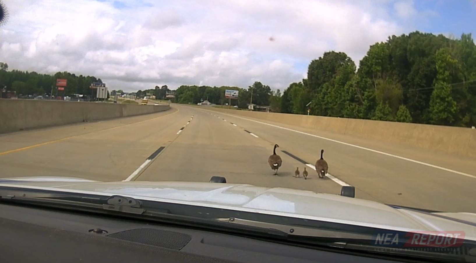 VIDEO: Dashcam Shows ASP Trooper Running Over Geese After Highway 57 ...